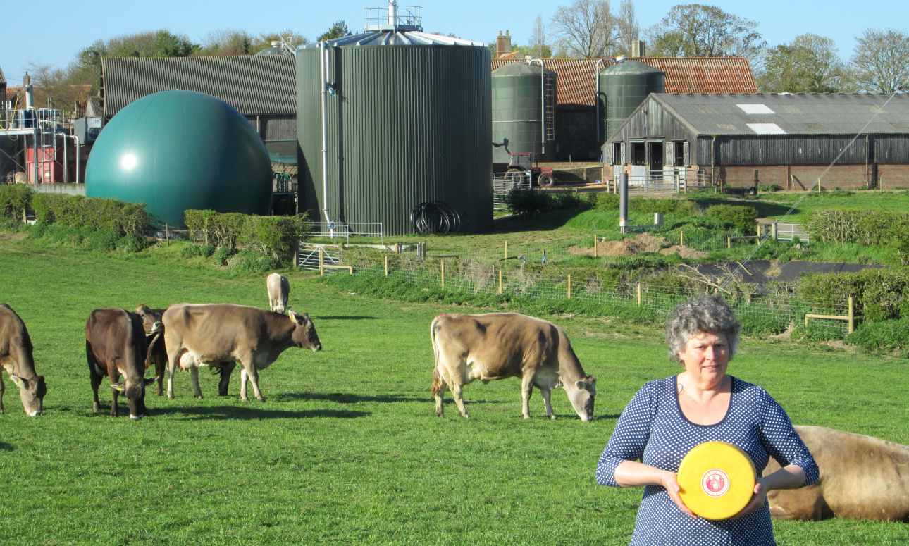 We Are Dairy Featured Entry Copys Green Farm Diversey India We Are Dairy Featured Entry Copys Green Farm Diversey India